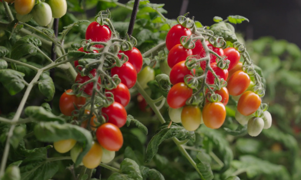 The Certhon Knowledge Hub, where we share our expertise