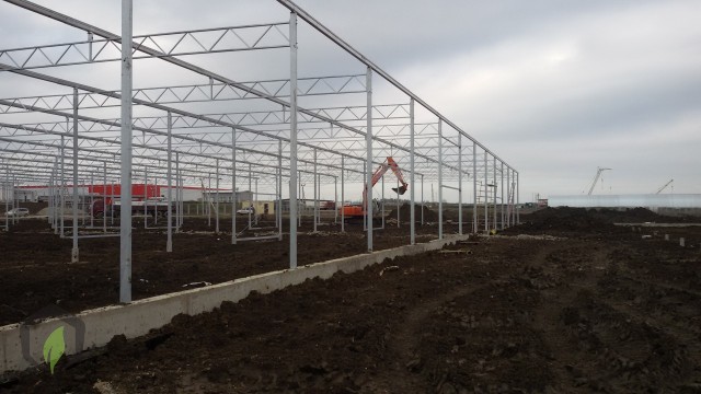 Another Certhon greenhouse for Magnit