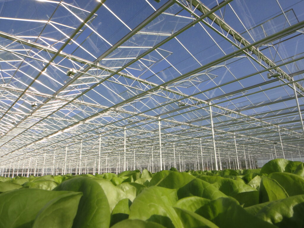 Certhon · Growing anything, anywhere. For everyone.