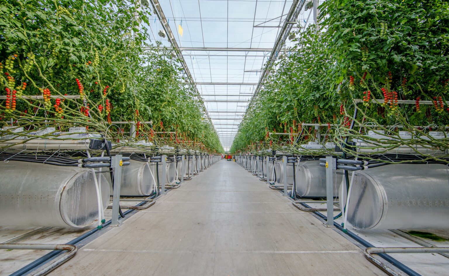 The Certhon Knowledge Hub, where we share our expertise