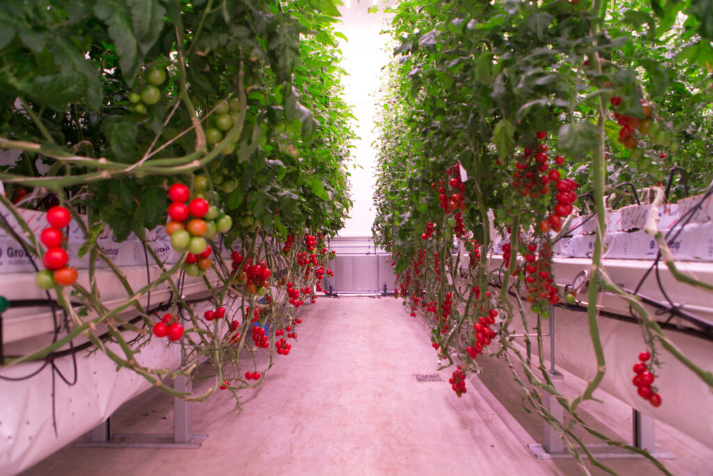 The Certhon Knowledge Hub, where we share our expertise